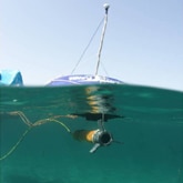 kyllene – The Finnish Institute at Athens